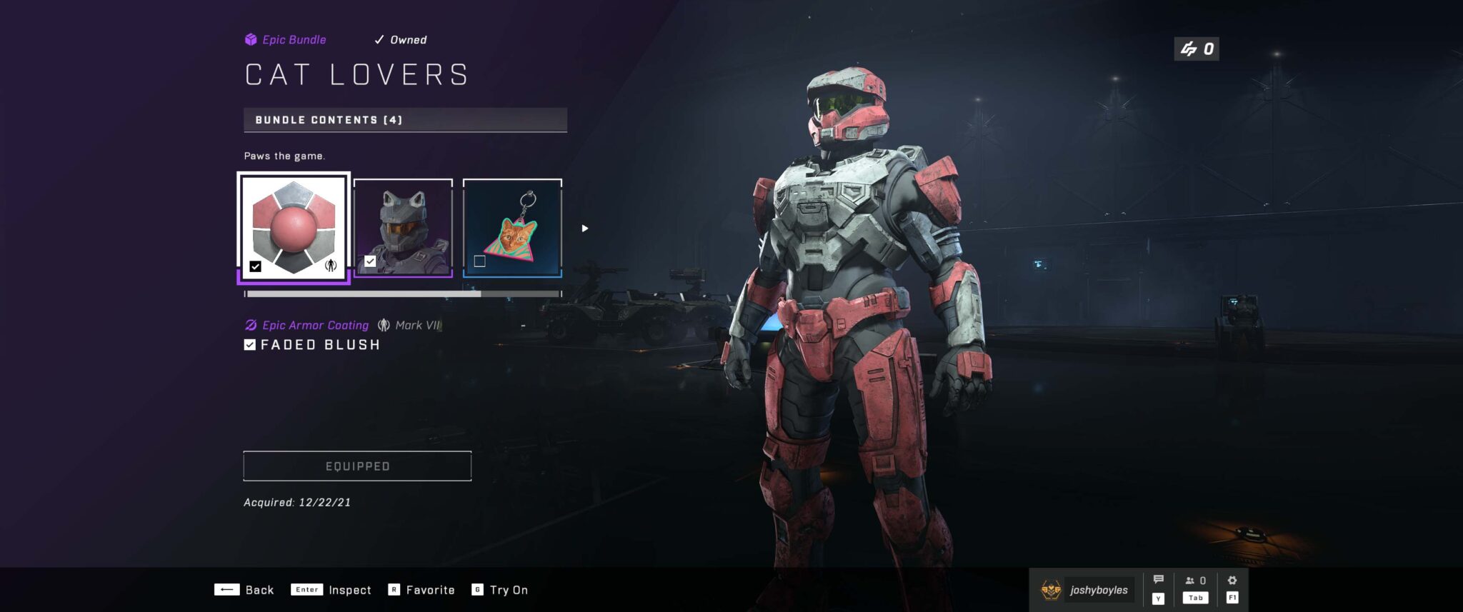 Halo Infinite Multiplayer Cosmetic Lets Players Put Cat Ears On Spartans